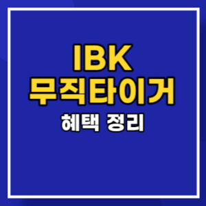 [기업카드] IBK 무직타이거 카드 혜택 정리 - 정보프레스